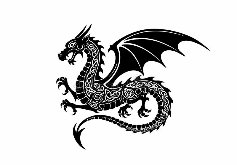 Celtic Dragon Tattoo Designs