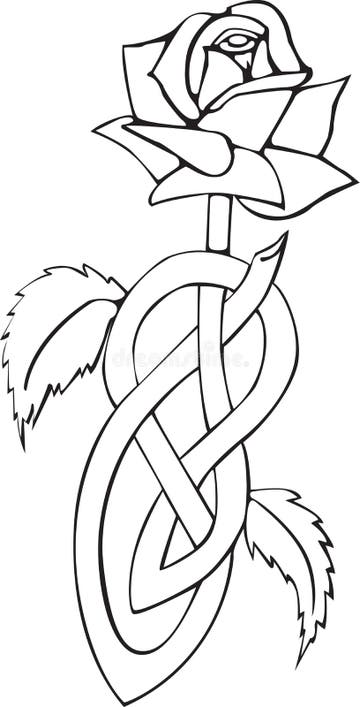 Celtic Rose Stock Illustrations – 557 Celtic Rose Stock Illustrations ...