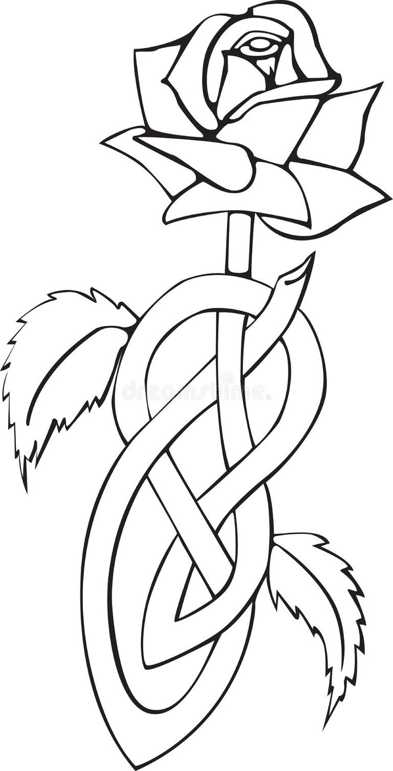 Celtic Rose Stock Illustrations – 557 Celtic Rose Stock Illustrations ...