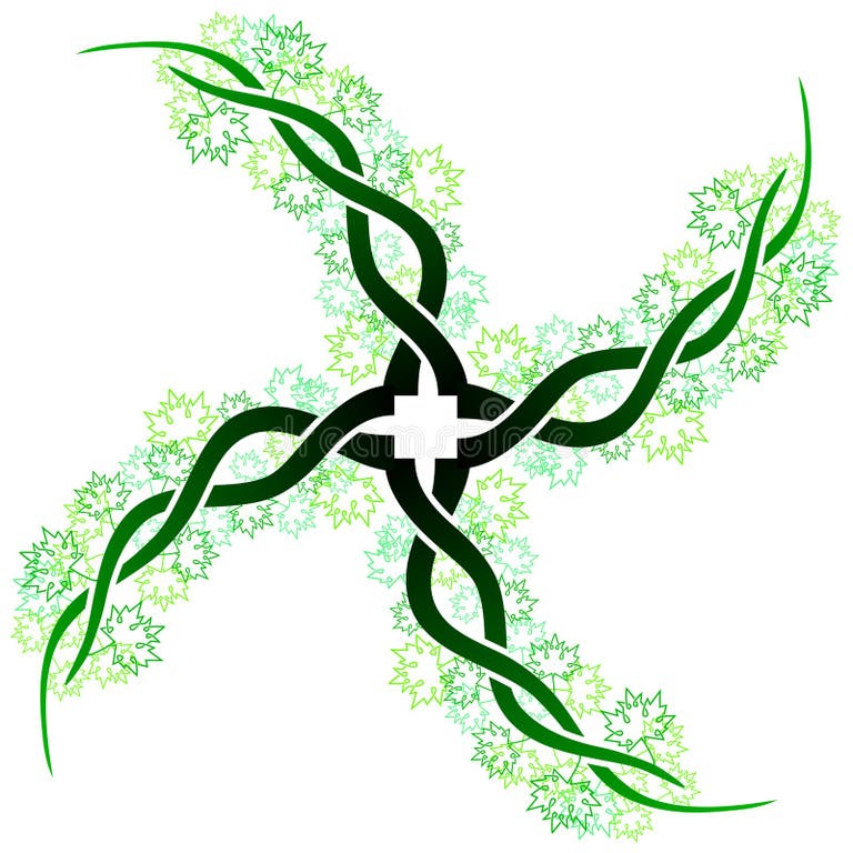 Celtic tree symbol - maple stock vector. Illustration of season - 6212999
