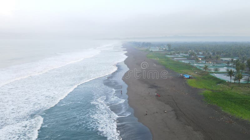 Cemara Sewu Beach in Kebumen, Central Java Stock Photo - Image of ...