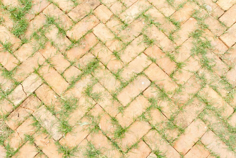 Cement block flooring stock photo. Image of concrete - 229179898