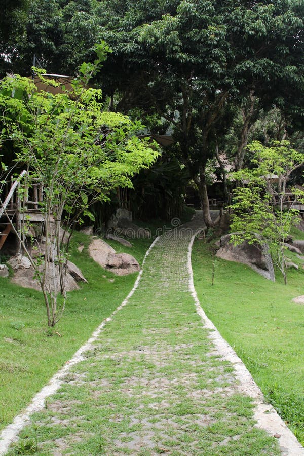 Walk path in the park stock photo. Image of garden, park - 139827270