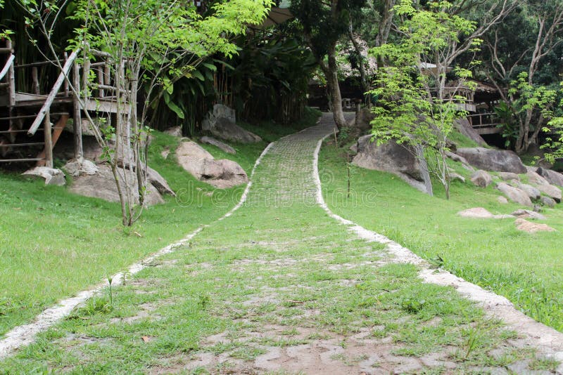Walk path in the park stock photo. Image of footpath - 139827286