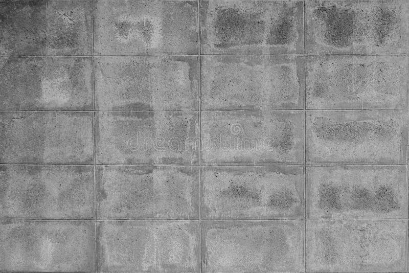 The Cement Block Wall Surface and the Background are Highly Classy ...