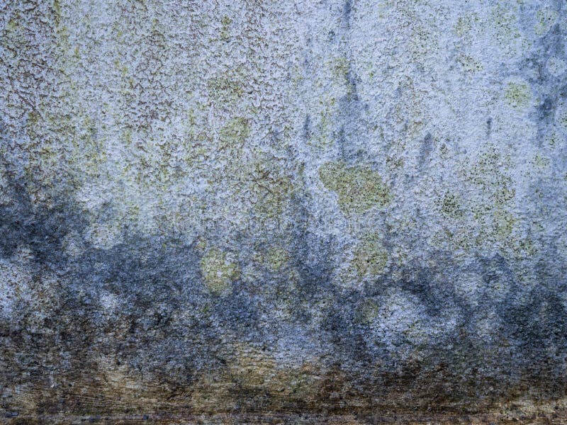 Cement Blue Stone Wall Moldy Texture Background Stock Photo - Image of ... Cement Blue Stone Wall Moldy Texture Background Stock Photo - Image of ...