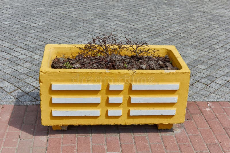 Cement Box, Flower Bed for a Bush. Stock Photo - Image of outdoor ...