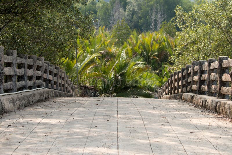 Cement bridge stock image. Image of pathway, green, rock - 72118789