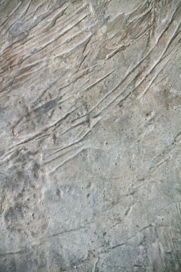 Cement Concrete Abstract Shape Background on Courtyard Floor Stock ...