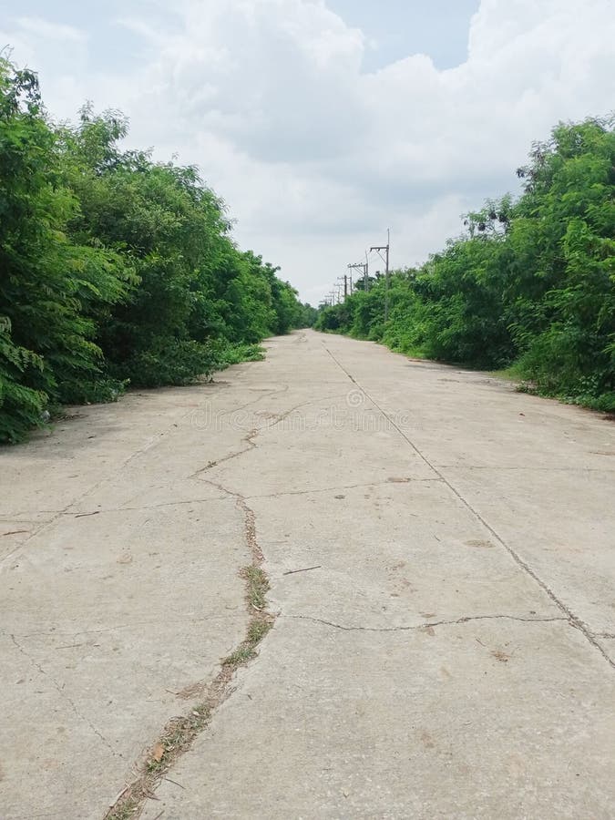 Cement Concrete Road in the Forest Surrounded by Green Trees Stock ...
