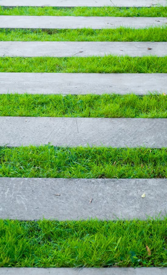 Cement Footpath on Green Grass Stock Photo - Image of close, natural ...