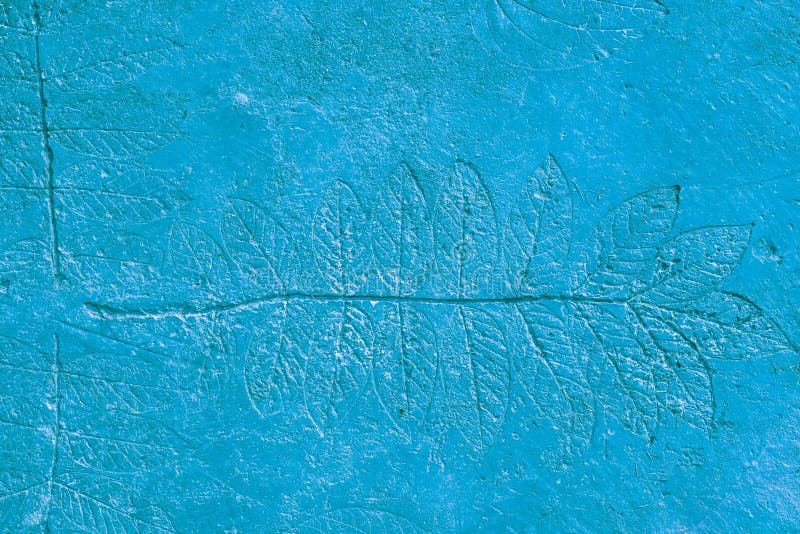 Cement Imprint with Plant Imprint,blue Tint Stock Photo - Image of ...