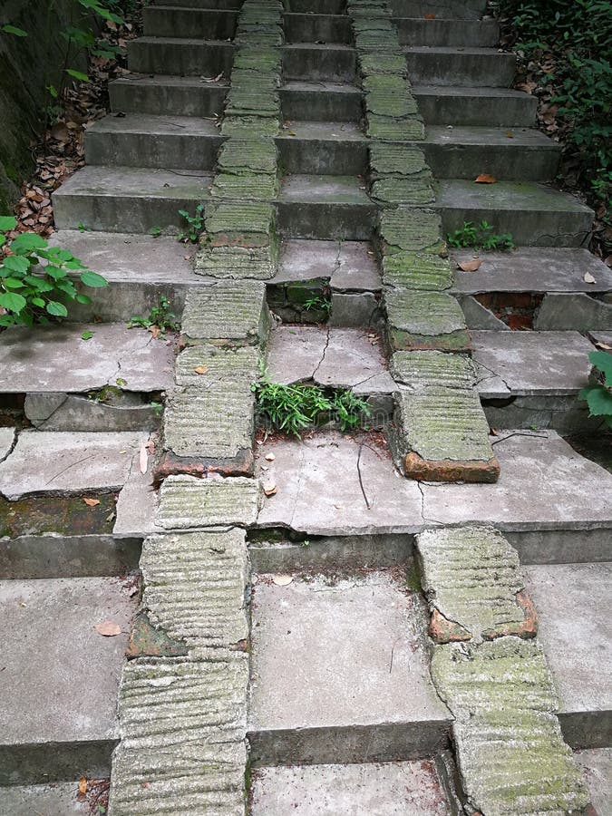 Cement Ladder and Stainless Steel Railing Stock Photo - Image of grate ...