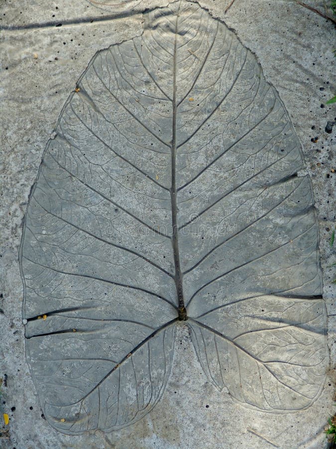 Cement Leaf stock image. Image of unusual, dock, stamp - 1418781