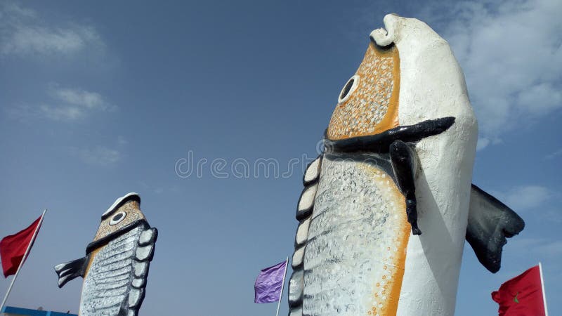 Cement Model of a Marine Fish Stock Photo - Image of fish, model: 285854454