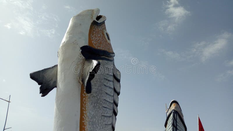 Cement Model of a Marine Fish Stock Photo - Image of photographre, fish ...