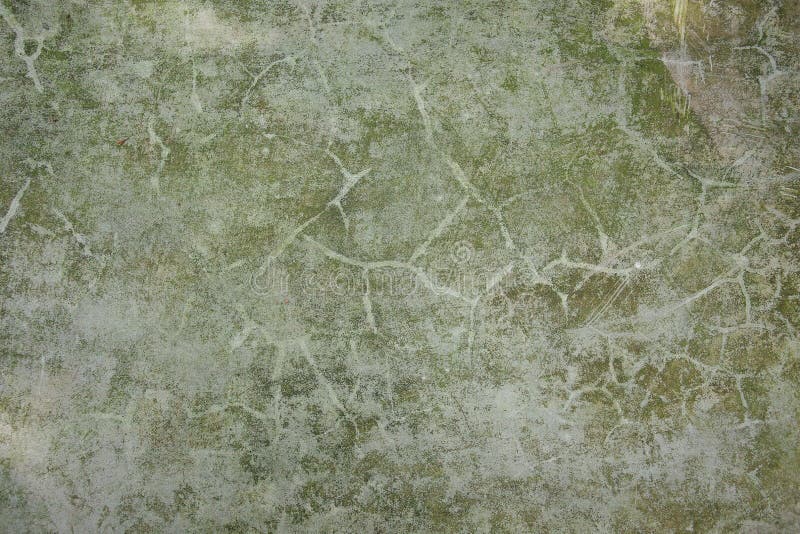 Cement stock image. Image of grungy, dirty, crack, floors - 55506665