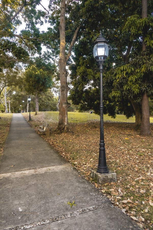 Cement Path in the Park with Lamp Posts and Benches Around it Stock ...