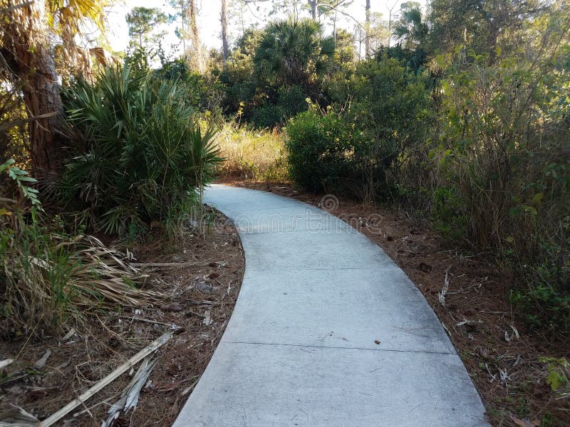 Cement Path or Trail and Green Plants and Trees Stock Photo - Image of ...