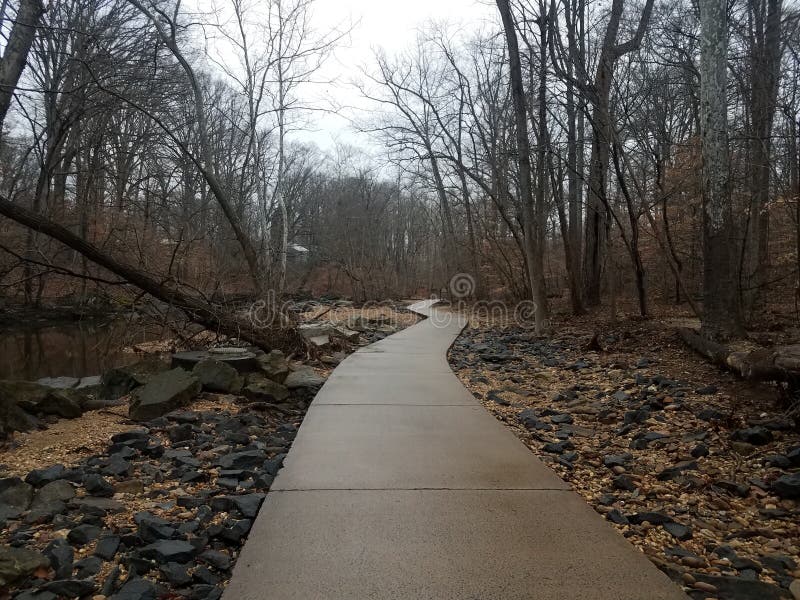 The Cement Path in the Field Stock Photo - Image of stone, lawn: 216377708