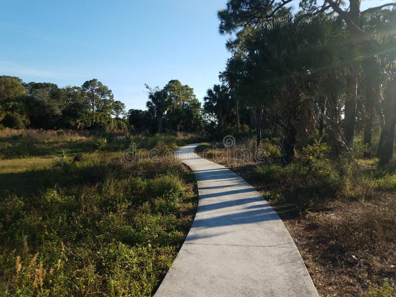 Cement Path or Trail and Green Plants and Trees Stock Photo - Image of ...