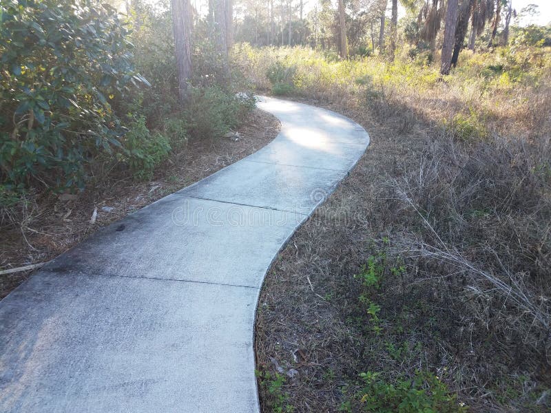 Cement Path or Trail and Green Plants and Trees Stock Photo - Image of ...