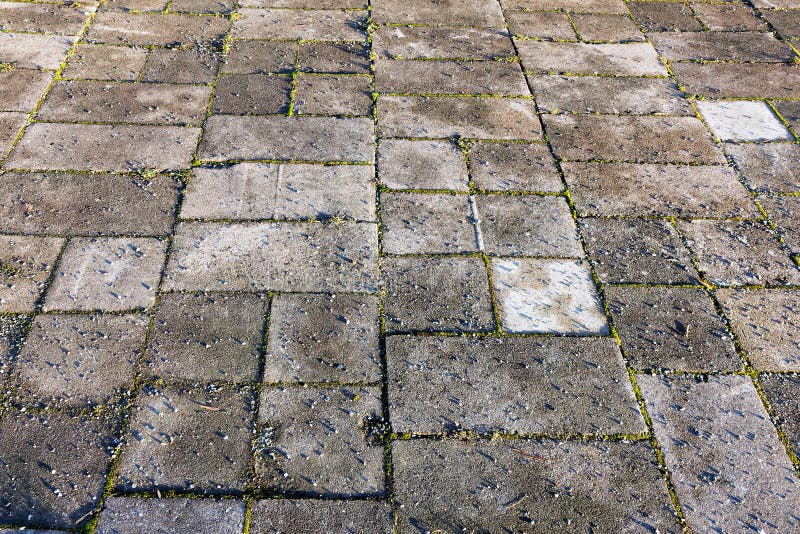 Cement Paving Tiles Create a Durable Surface for Outdoor Spaces Stock ...