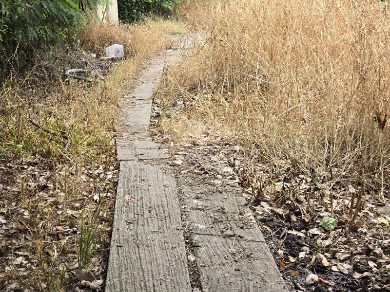 Cement Plate in Country Thailand Stock Image - Image of garden, nature ...