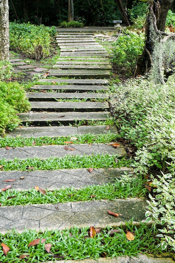 Cement plate walkway stock photo. Image of pathway, foliage - 102528260