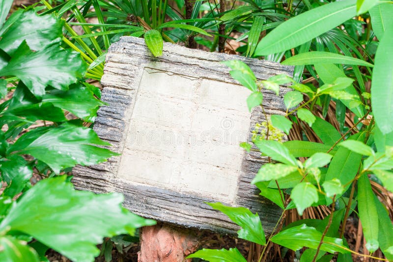 Cement Plates Square with Space. Stock Image - Image of plate, natural ...
