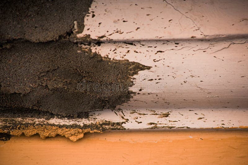 Cement Putty on the Decorative Element of the Building Stock Photo ...
