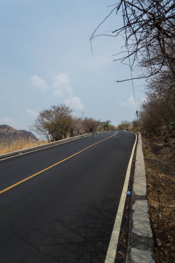 Cement Road at a Park with Trees and Greenery Stock Photo - Image of ...