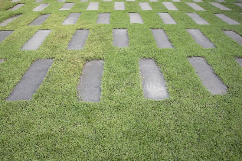 The Cement Tiles between Green Grass Background. Stock Image - Image of ...