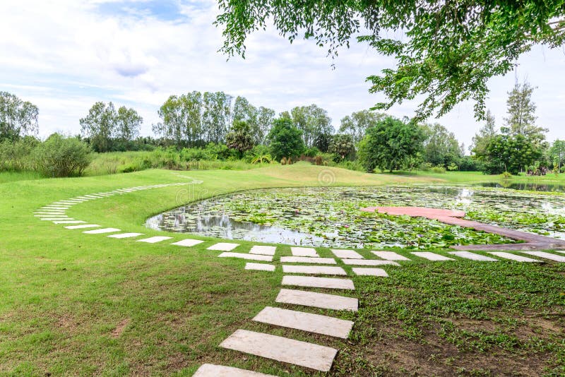 Pathway around Pond stock image. Image of path, abstract - 24893