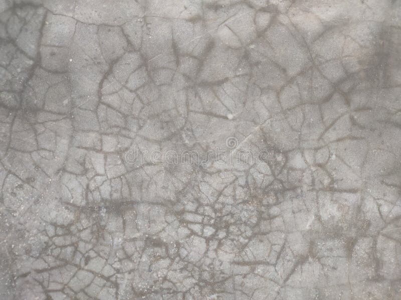 The Cement Wall Background is Bright Gray and Black with a Few Cracks ...