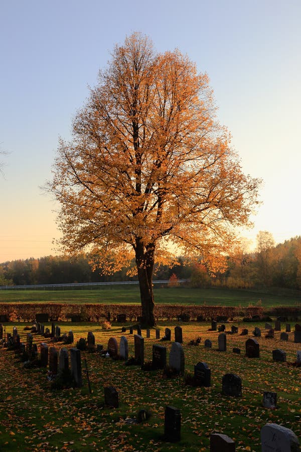 Cemetary stock image. Image of headstones, season, tranquility - 143408319