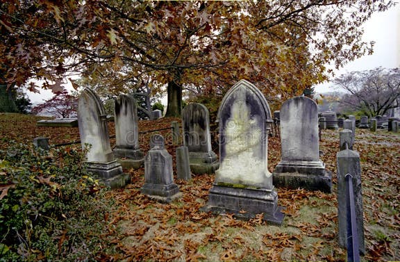 235,894 Sleepy Pictires Stock Photos - Free & Royalty-Free Stock Photos ...