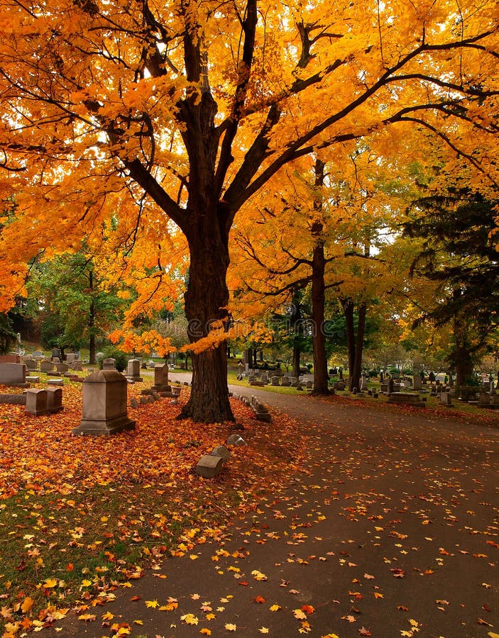 Autumn cemetery stock photo. Image of fall, buried, colors - 15958486