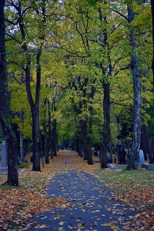 Cemetery on autumn stock photo. Image of inscription - 78667664