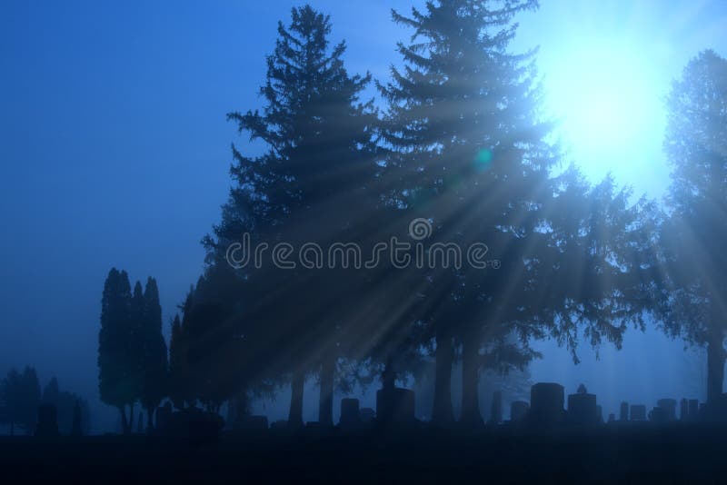 Cemetery in blue fog stock photo. Image of foggy, spooky - 24046810