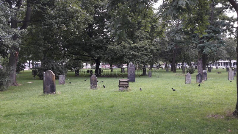 Crows on cemetery stock image. Image of grass, hoodie - 100749315