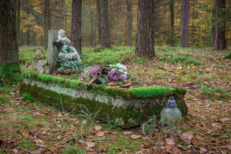 Cemetery in a forest stock photo. Image of moss, fall - 201837280