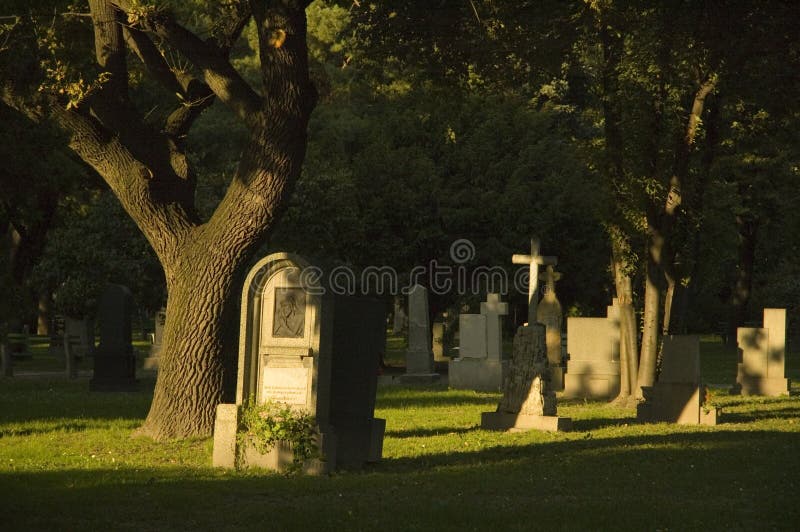Cemetery with Fresh Green Trees Stock Photo - Image of grave, blank ...
