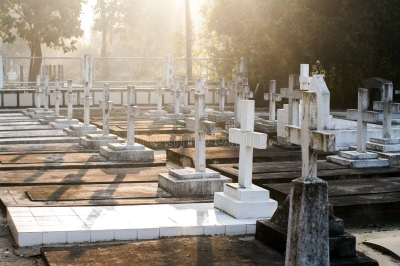Cemetery Graveyard and Roses in the Morning Stock Photo - Image of ...