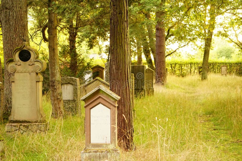 An Old Cemetery and Tree with Green Grass in the Field Stock Photo ...
