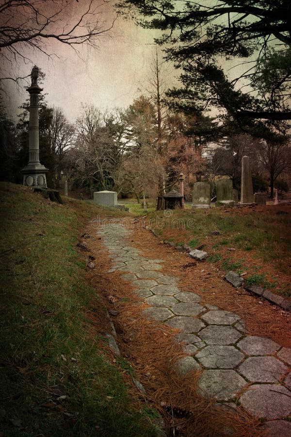 Cemetery Path with Topiary Green Trees on the Sides Stock Image - Image ...