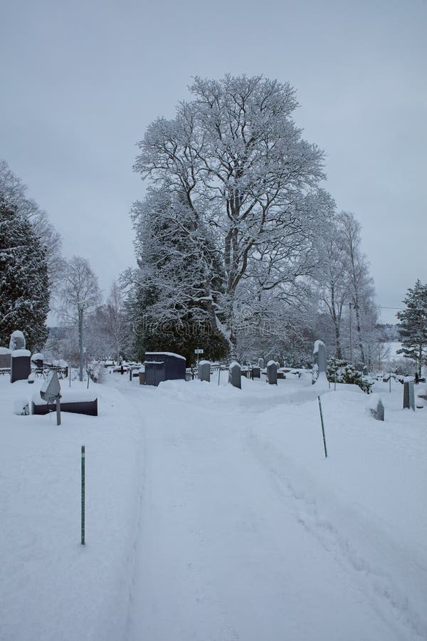 Cemetery path in winter. stock photo. Image of cloud - 345510908