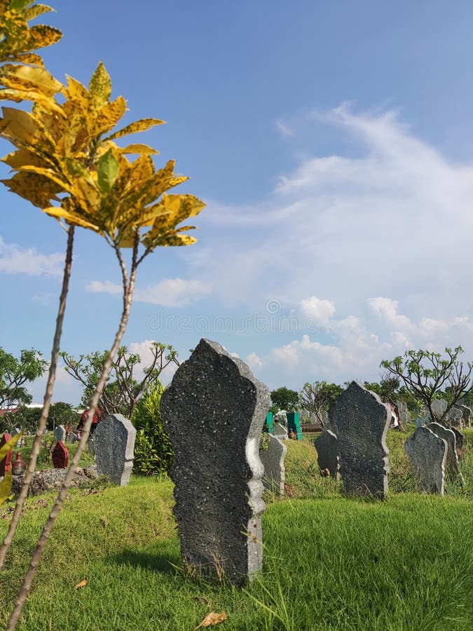 A Cemetery with Rows of Gravestones and Trees in the Grass Stock Photo ...