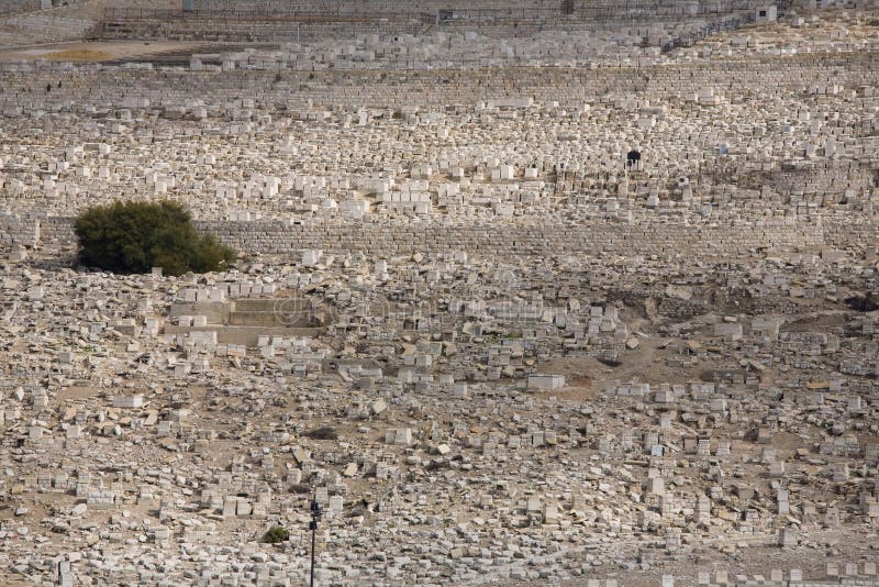 Cemetery Structure Picture. Image: 5249519