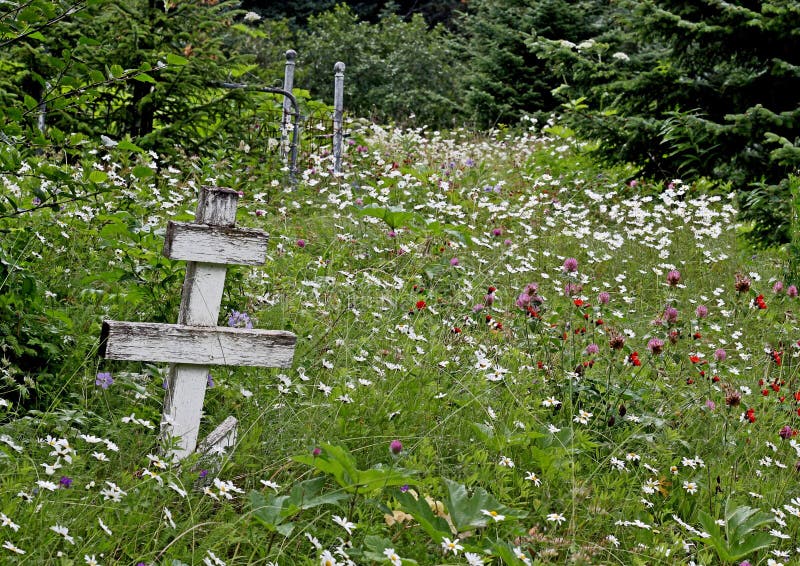 Old Cemetery in Summer. Graveyard with Green Trees Tombs in the Forest ...